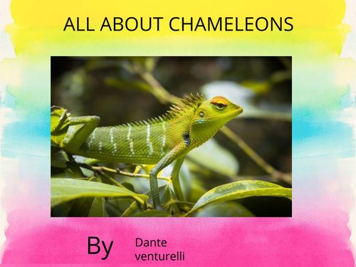 Book Creator | All about Chameleons