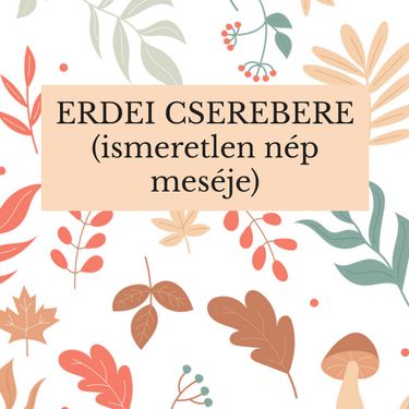 Book Creator | Erdei cserebere
