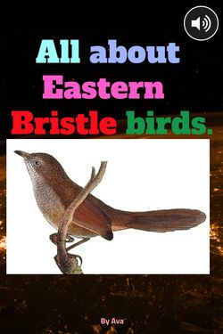 Book Creator | A