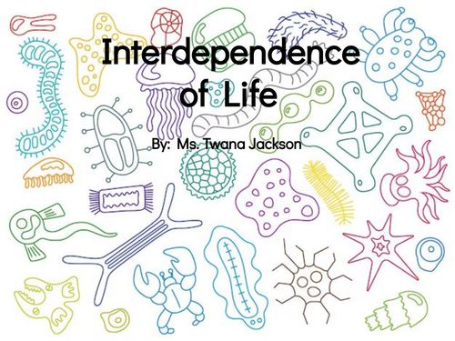 Book Creator | Interdependence of Life