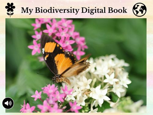Book Creator | Biodiversity Digital Book- Áine Morgan- 66797