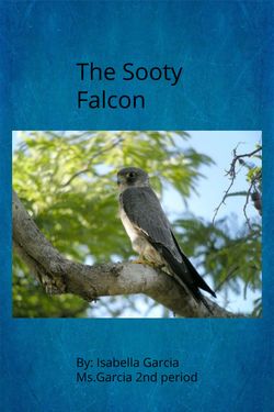 Book Creator | Falcon Project