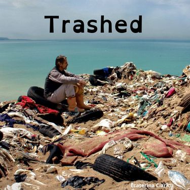 Book Creator | Trashed