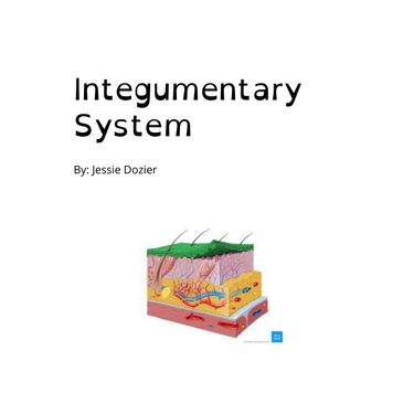 Book Creator | Integumentary System