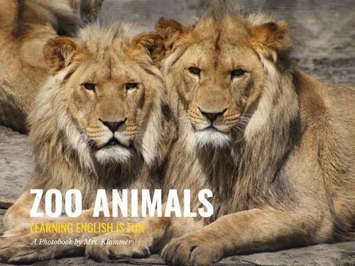 Book Creator | ZOO ANIMALS