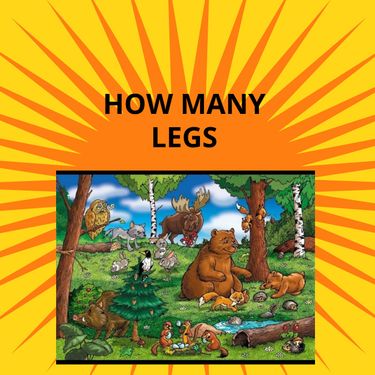 Book Creator | How many legs