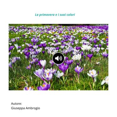 Book Creator | La primavera e i suoi colori