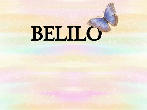 Book Creator | belilo e os animais marinhos