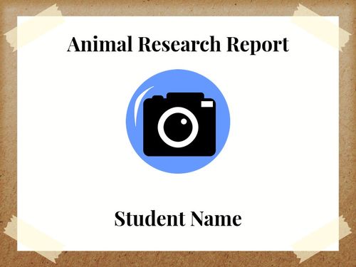 Book Creator | TEMPLATE - Animal Research Book