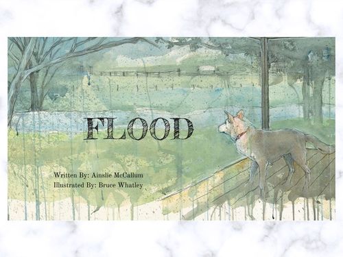 Book Creator | Flood