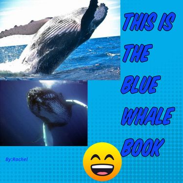 Book Creator | Blue Whales