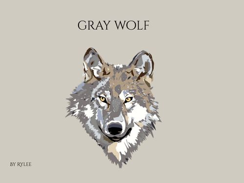 Book Creator | Gray Wolf