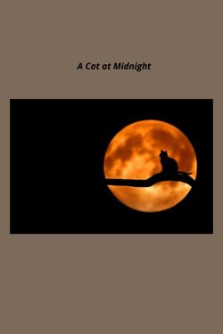 Book Creator | A Cat at Midnight