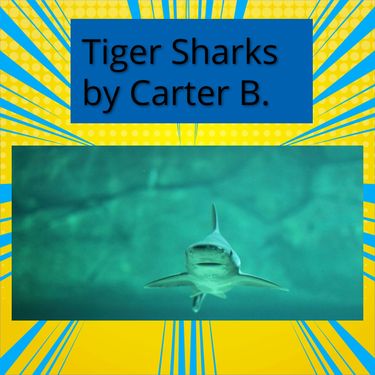 Book Creator | Tiger Sharks