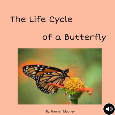 Book Creator | The life Cycle of a Butterfly