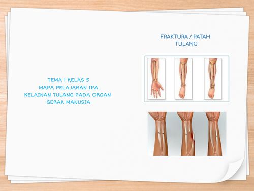 Book Creator | Tema IPA