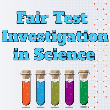 Book Creator | Fair Science Investigations