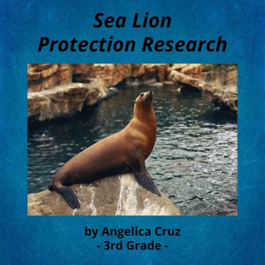 Book Creator | Sea Lion Protection Research