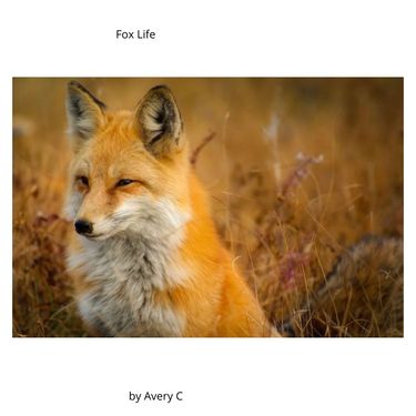 Book Creator | Fox Life