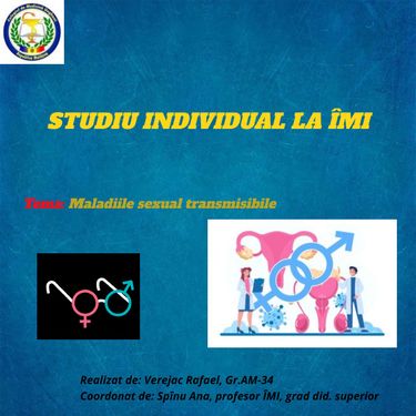 Book Creator | Studiu individual la Î.M.I. Nr. 2