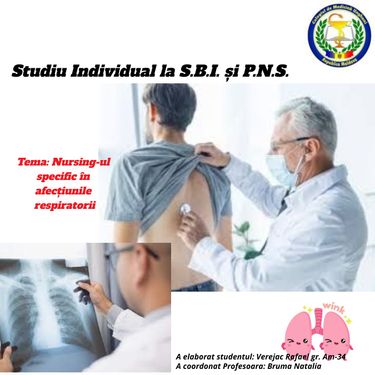 Book Creator | Studiu individual la sbi și pns