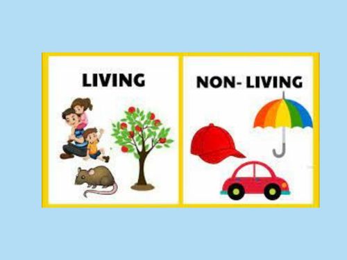 Book Creator | Living and Nonliving