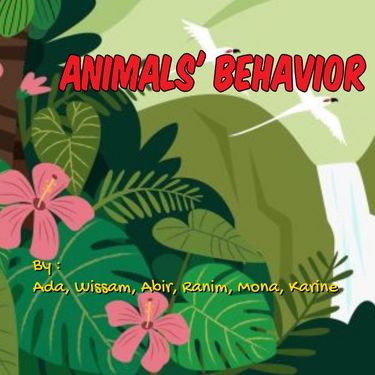 Book Creator | Animals' Behavior