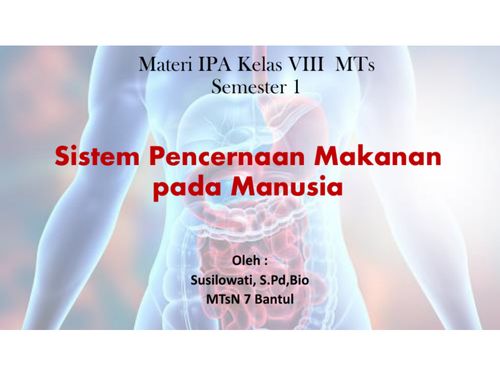 Book Creator | PPT SISTEM PENCERNAAN SKP-PDF