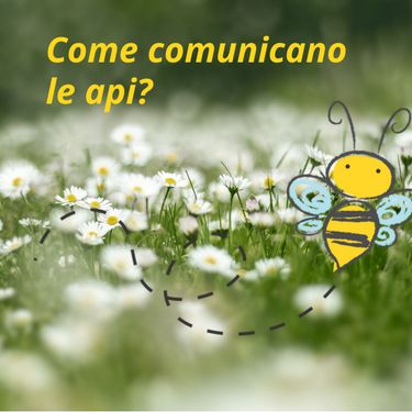 Book Creator | Come comunicano le api