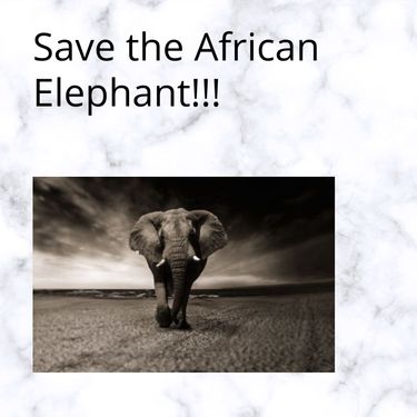 Book Creator | Save The African Elephant!