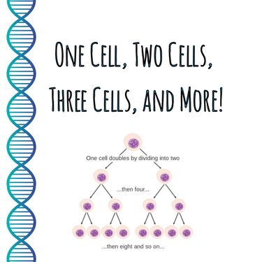 Book Creator | One Cell, Two Cells, Three Cells, and More!