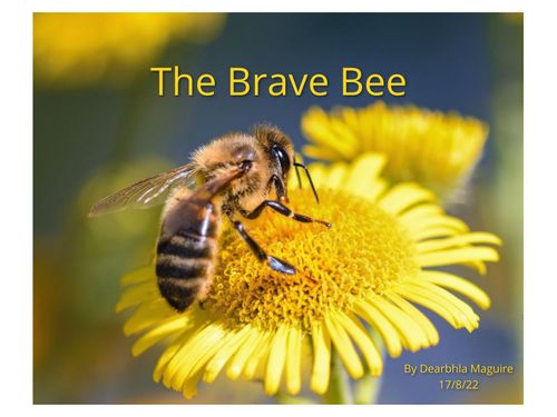 Book Creator | The Brave Bee