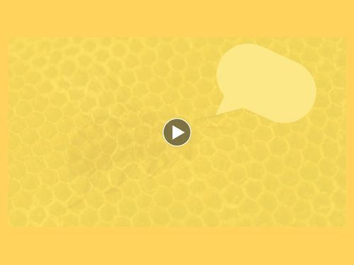 Book Creator | LEBAH