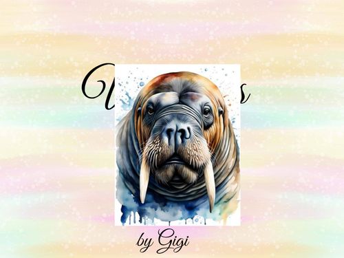 Book Creator | Walrus