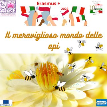 Book Creator | Il fantastico mondo delle api