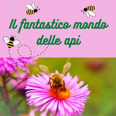 Book Creator | Il fantastico mondo delle api