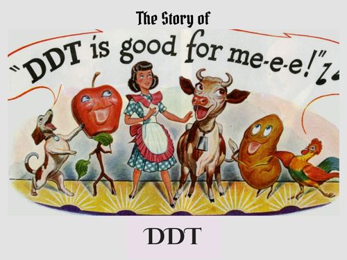 Book Creator | DDT - A Fairy Tale