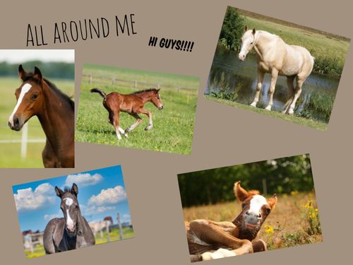 Book Creator | All around me