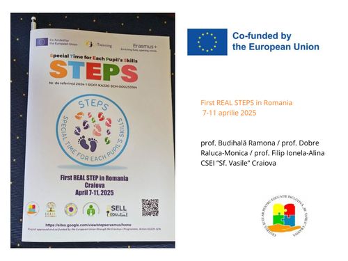 Book Creator | First REAL STEPS in Romania