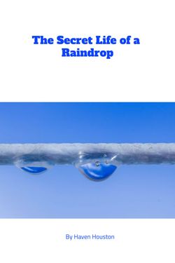 Book Creator | The secret life of a raindrop