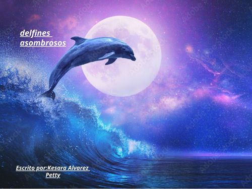 Book Creator | Delfines