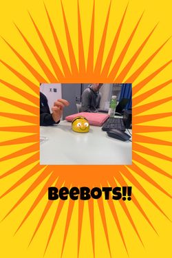 Book Creator | beebots