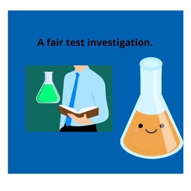 Book Creator | A Fair Test Investigation