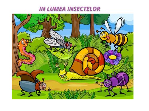 Book Creator | IN LUMEA INSECTELOR