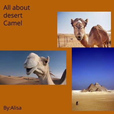 Book Creator | All about Desert camels