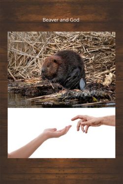 Book Creator | Beaver and God
