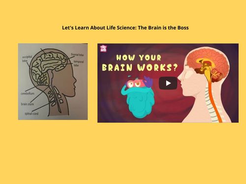 Book Creator | The Brain is the Boss