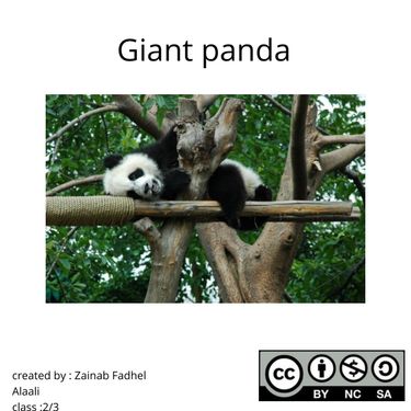 Book Creator | The Giant Panda