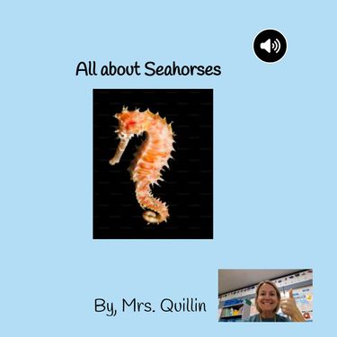 Book Creator | All About Seahorses