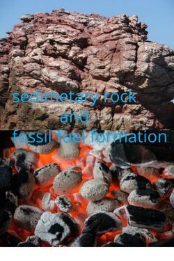 Book Creator | Sedimentary Rocks and Fossil Fuels